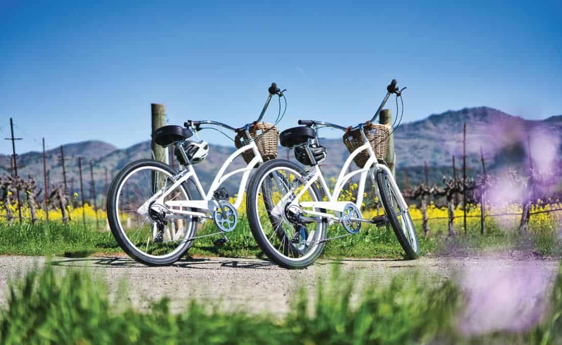 Experience the Magic of Napa Valley Mustard Season • Napa Valley Bike ...